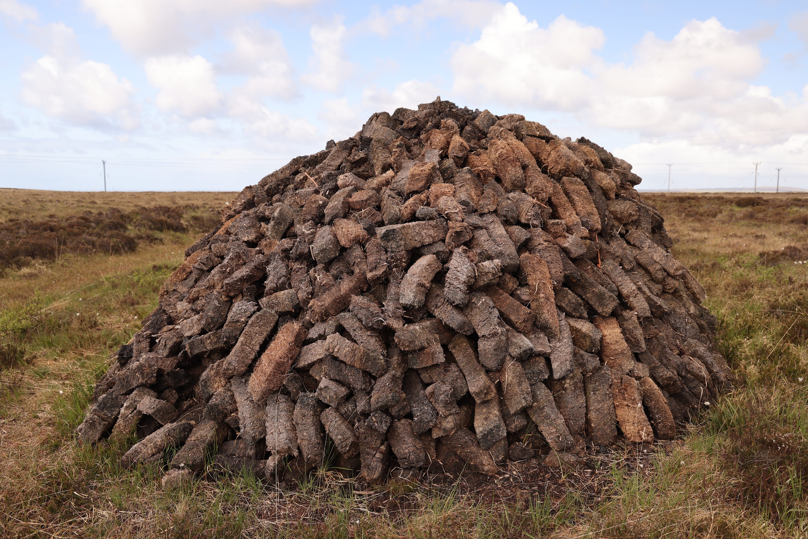 My Scotland Whisky Experience (1 of 3) – WidgetWood